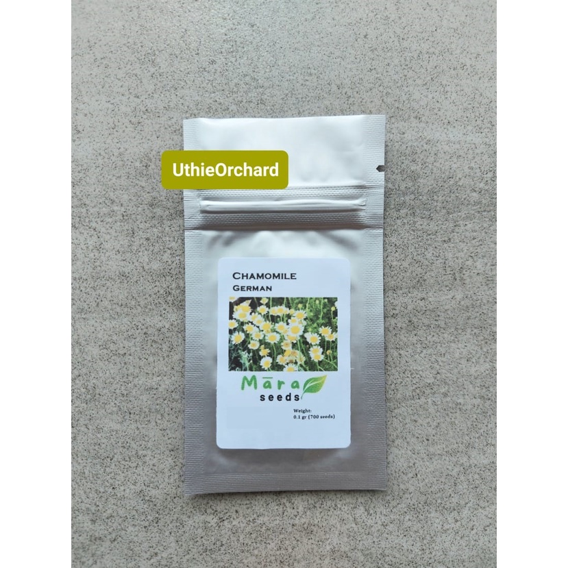Jual Mara Seeds - Chamomile German (700 seeds) | Shopee Indonesia