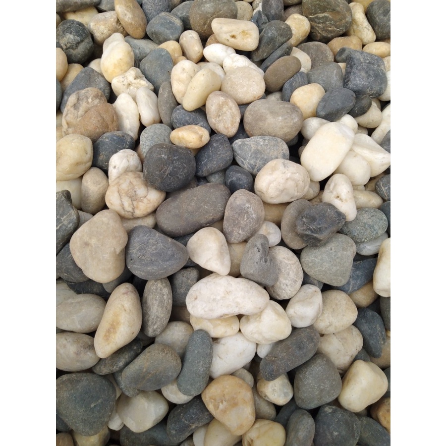 Jual BATU ALAM KORAL KUNING MIX IMPORT VARIASI UKURAN | Shopee Indonesia