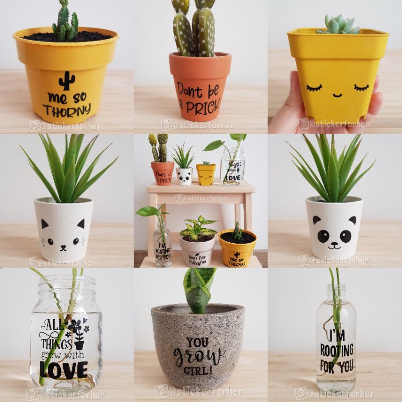 Jual Stiker Decal Pot Tanaman Quotes Lucu Kaktus Sukulen Sanseviera ...