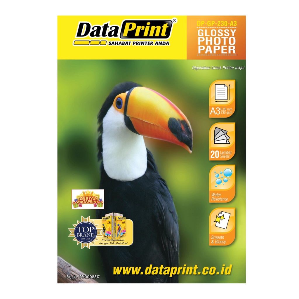 Jual DataPrint Glossy Photo Paper 230 gr A3 | Shopee Indonesia