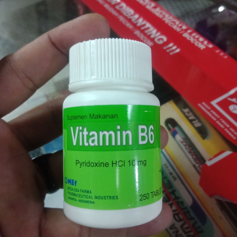 Jual VITAMIN B6 MEF Suplemen Makanan 250tablet | Shopee Indonesia