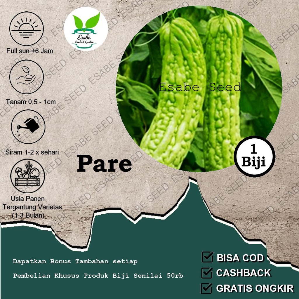 Jual Benih Biji Pare F1 Hibrida Pahit Besar Sayuran Unggul Bibit ...