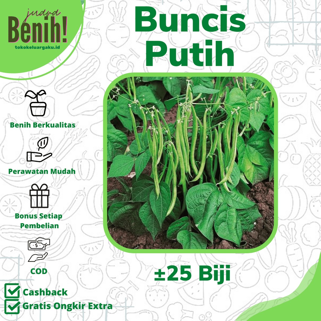 Jual Benih Buncis Putih Hibrida 25 Biji - Benih Sayuran Unggul | Shopee ...