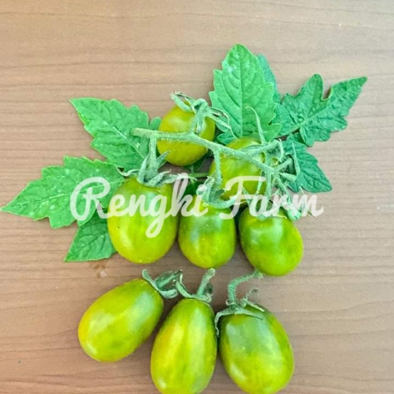 Jual Biji Benih TOMAT AMBER KEYES (12 bijj) | Shopee Indonesia