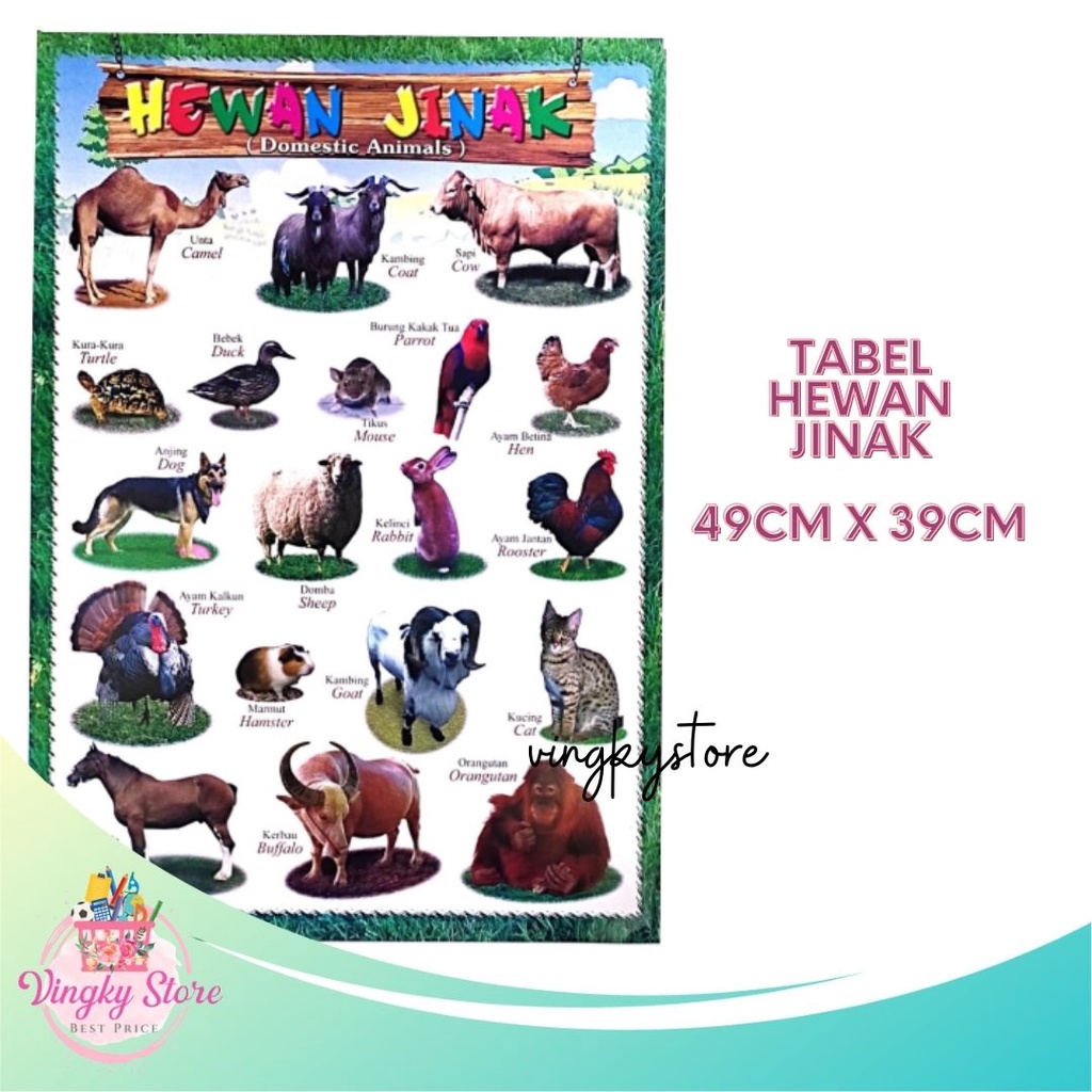 Jual Poster Edukasi Anak / Poster Tabel Hewan Jinak | Shopee Indonesia