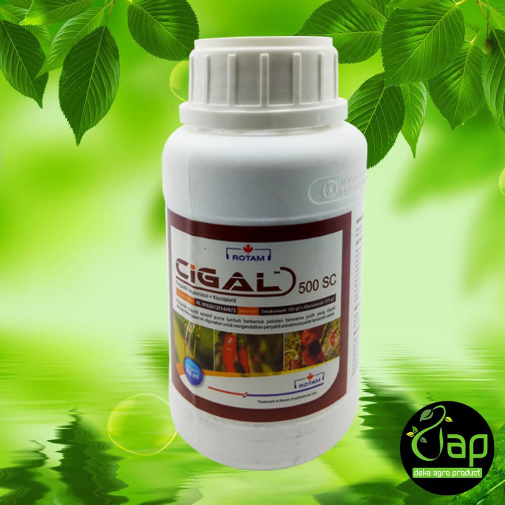 Jual FUNGISIDA CIGAL 500 SC 250 ML | Shopee Indonesia