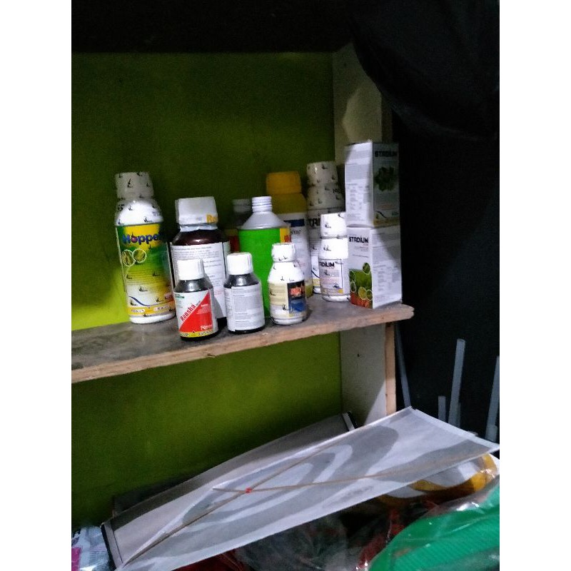 Jual stadium obat padi 100 ml | Shopee Indonesia