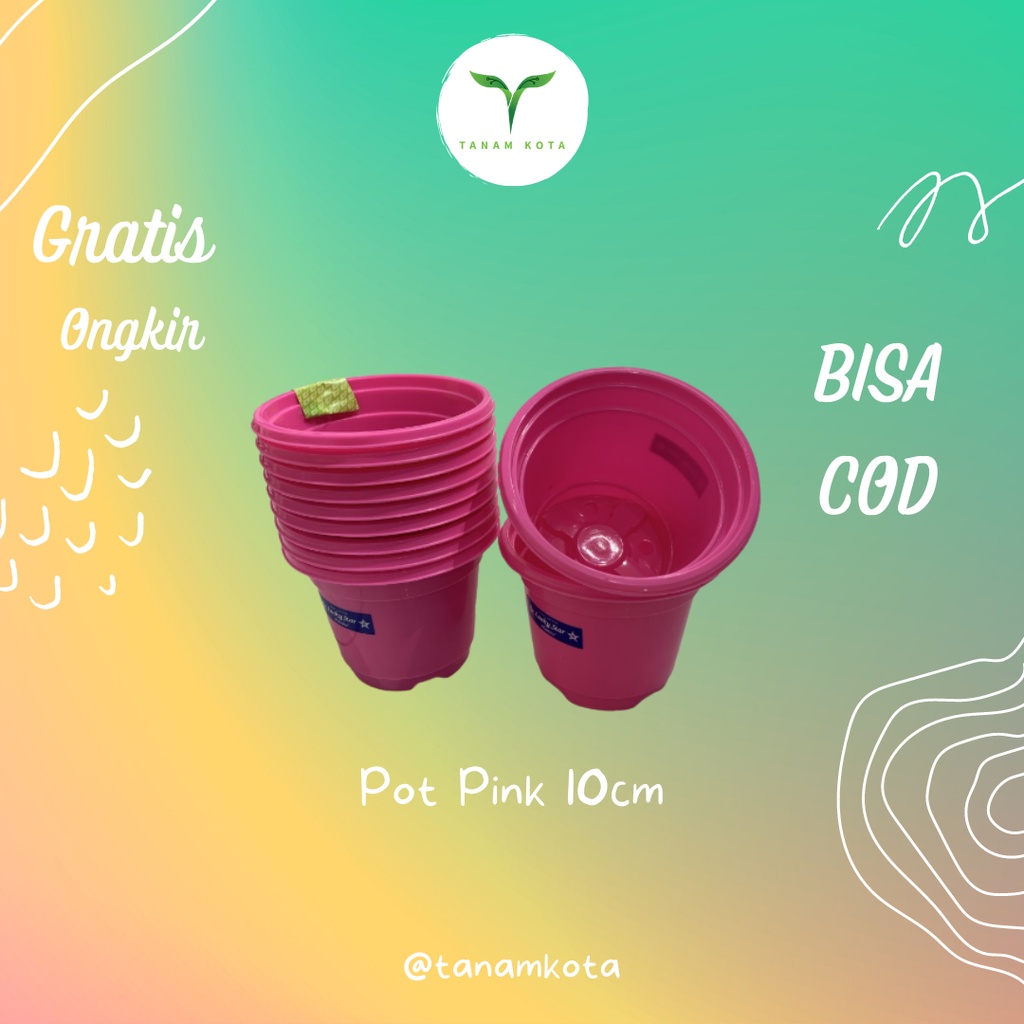 Jual Pot Bunga Kaktus 10 Cm Aesthetic Anggrek Minimalis Sabut Kelapa ...