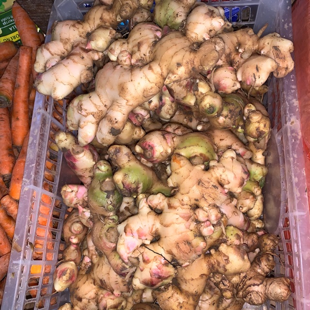 Jual Jahe besar 250gram | Shopee Indonesia