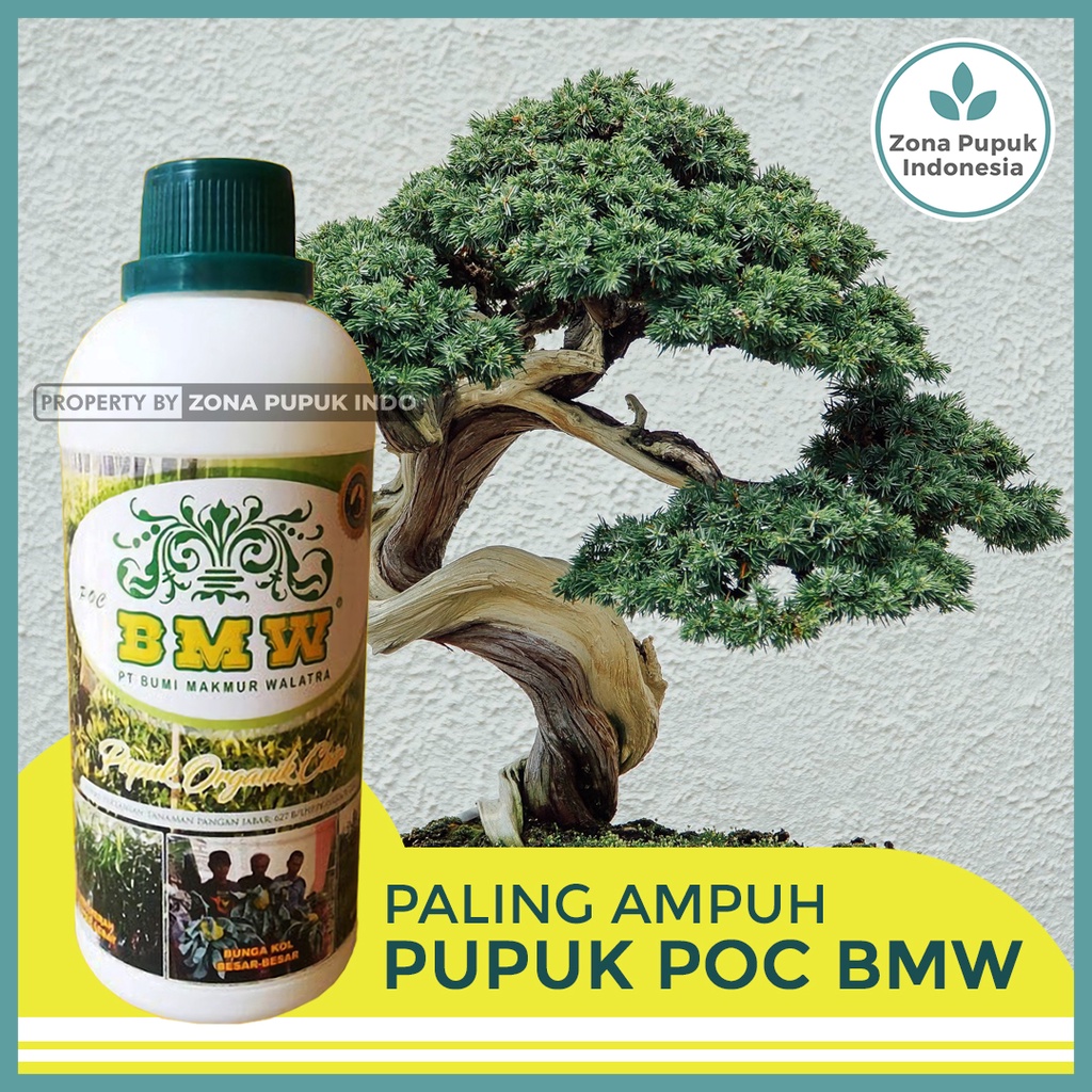 Jual Pupuk Organik Cair POC Penyubur Tanaman Hias Perangsang Akar Pelebat Daun Bonsai POC BMW ...