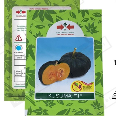 Jual BENIH SEED BIJI BIBIT LABU KUSUMA F1 PANAH MERAH ISI 40 BUTIR ...