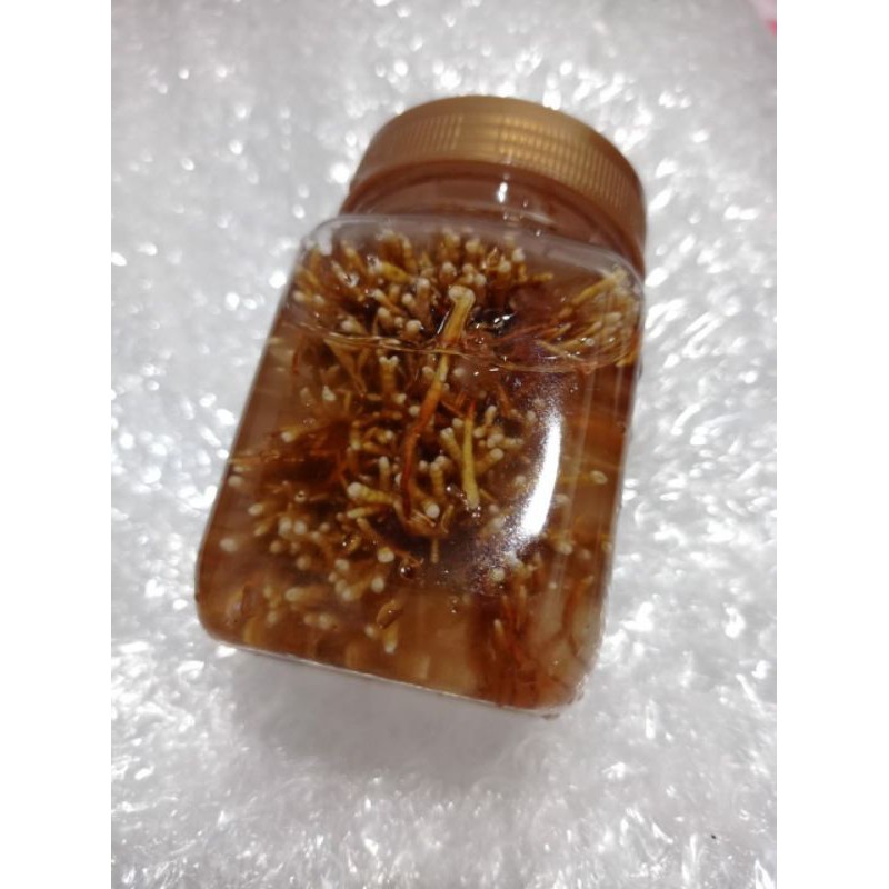 Jual Jakaba Jamur Keberuntungan Abadi . Pupuk Organik | Shopee Indonesia