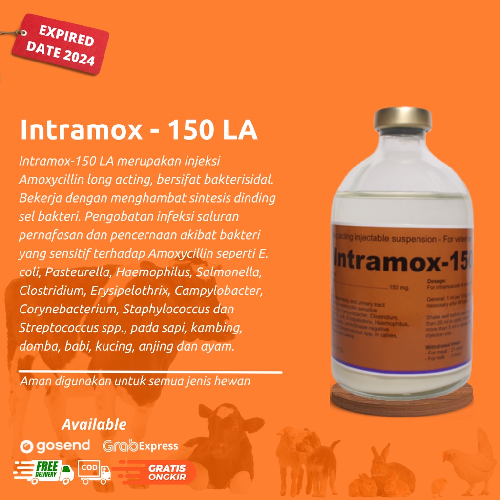 Jual Intramox 150 LA 100ML OBAT INFEKSI SALURAN PERNAPASAN DAN ...