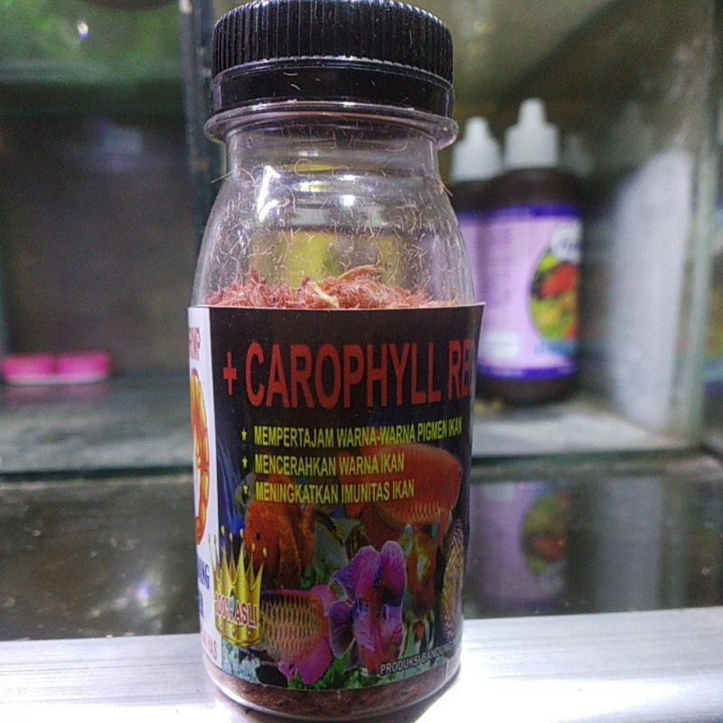 Jual PAKAN UDANG KERING CAROPHYLL / MAKANAN IKAN HIAS CAROPHYLL ...