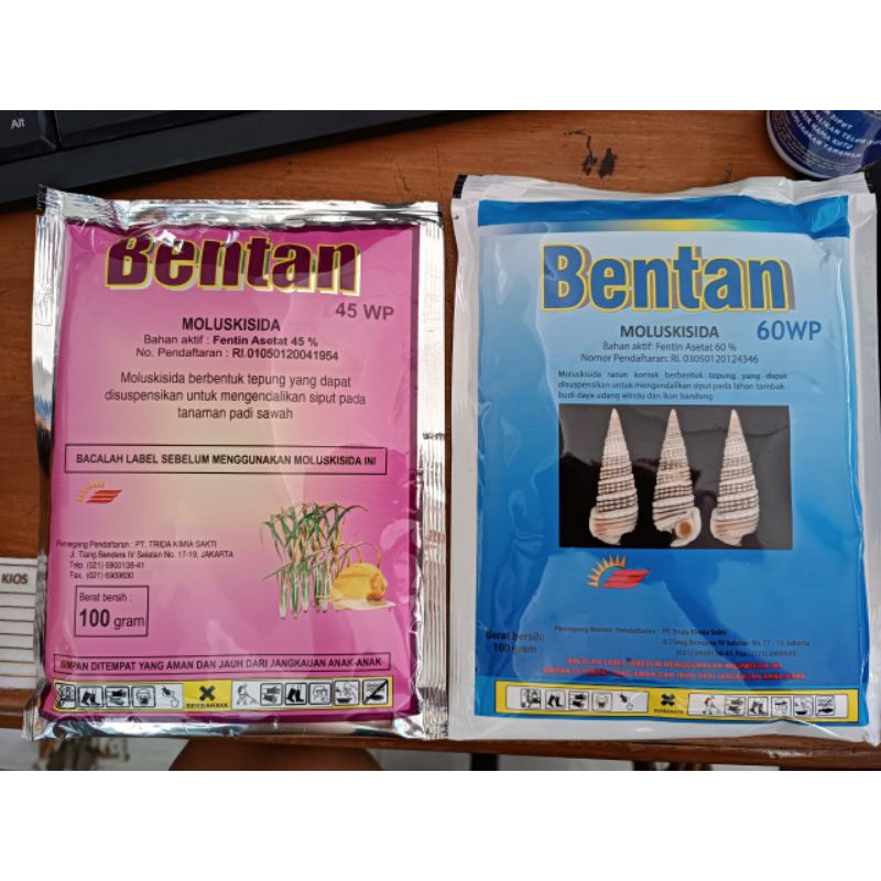 Jual Bentan Moulskisida 100 gram | Shopee Indonesia