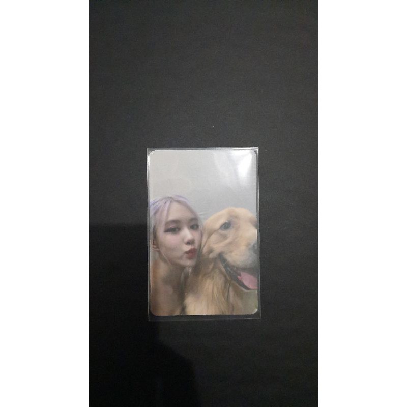Jual Rose Booked Shopee Indonesia