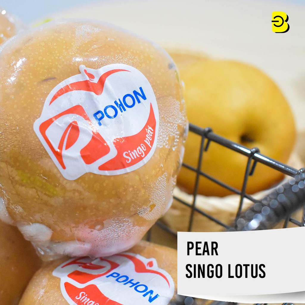 Jual PEAR SINGO GOLDEN/LOTUS per kg Belidikita | Shopee Indonesia