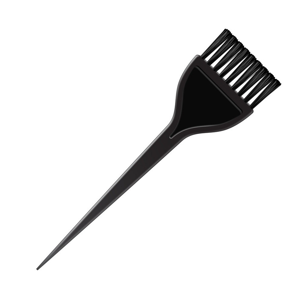 Jual BCM brush comb sisir kuas cat rambut peralatan salon hair coloring ...
