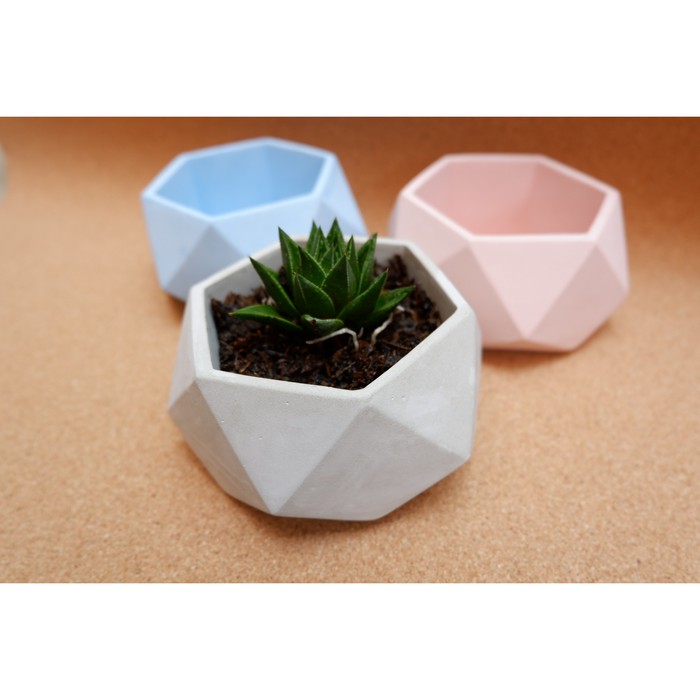 Jual Hexagonal Flower Pot (Pot Tanaman - Beton) - Bentuk Segi 6 ...