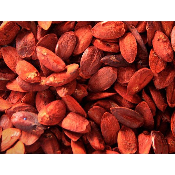 Jual KACANG KENARI KULIT ARI MENTAH 500G | Shopee Indonesia