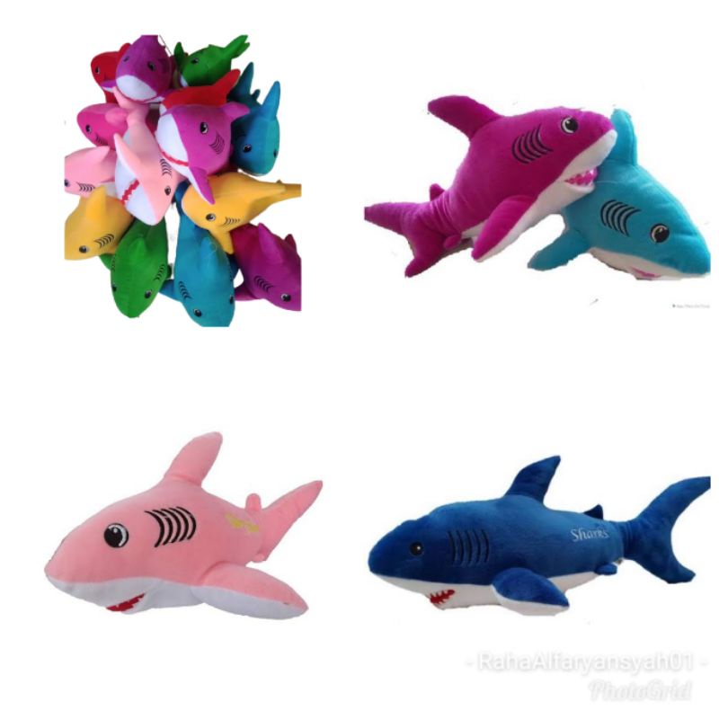 Jual Boneka Baby Shark Ikan Hiu Ukuran L | Shopee Indonesia