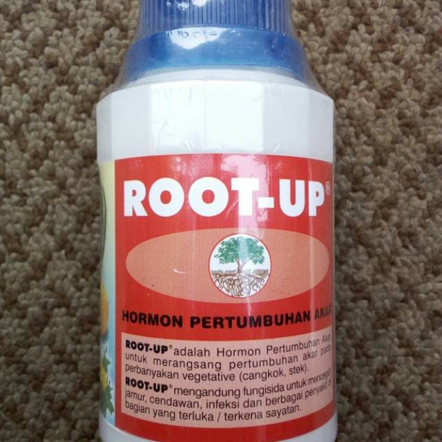 Jual ROOT UP 100 GR HORMON ZPT PENUMBUH AKAR BIBIT TANAMAN | Shopee ...