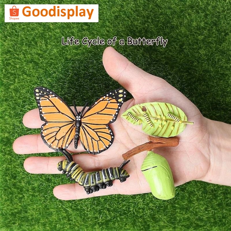 Jual aneka mainan edukasi siklus hidup hewan binatang animal figure ...