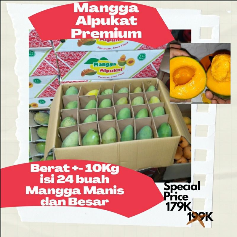 Jual Buah Mangga Alpukat 1 Dus isi 24 Buah Berat 9 sd 11 Kg | Shopee Indonesia