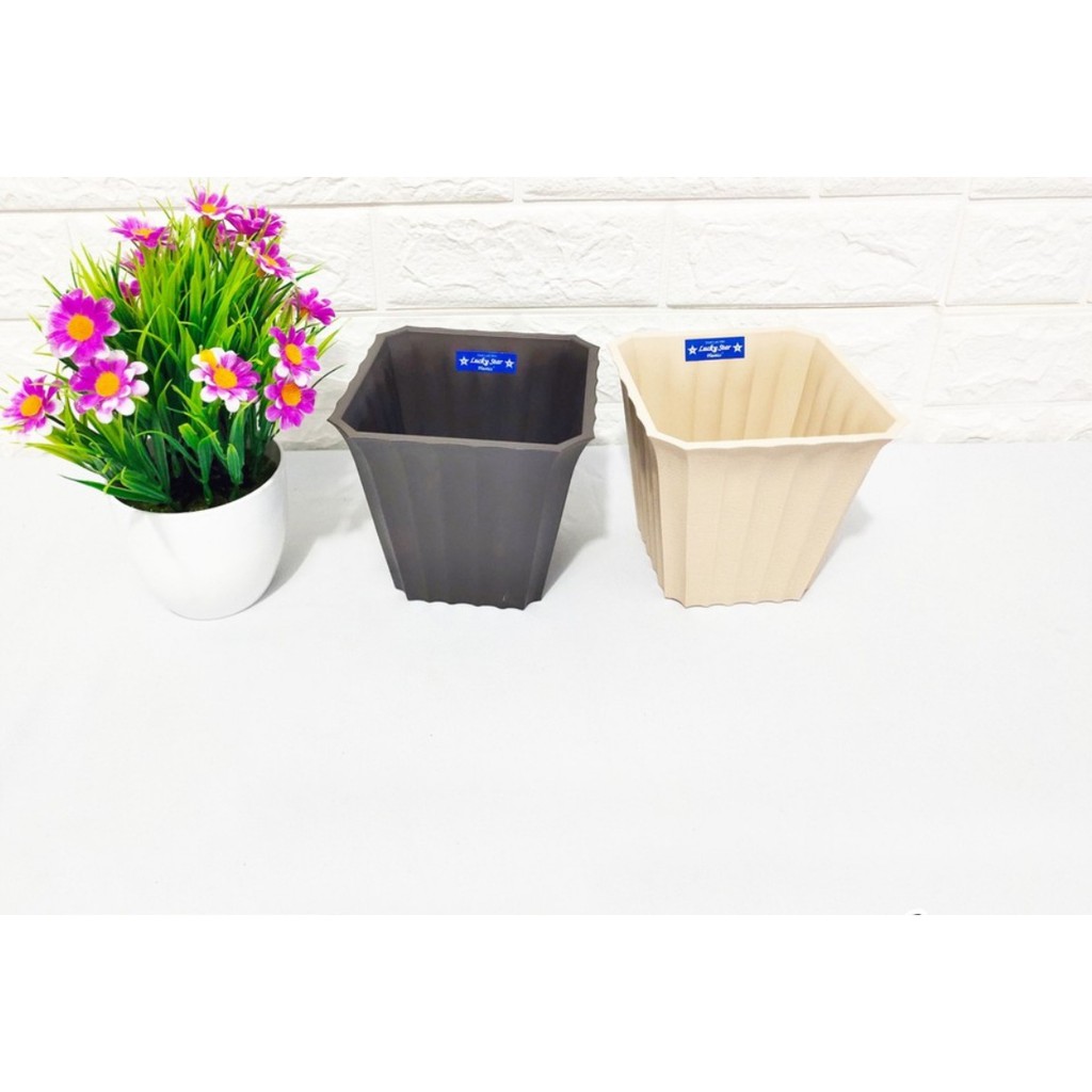 Jual Pot tawon Segi Bulat Tanaman Bunga Violeta 9cm vas plastik Hias ...