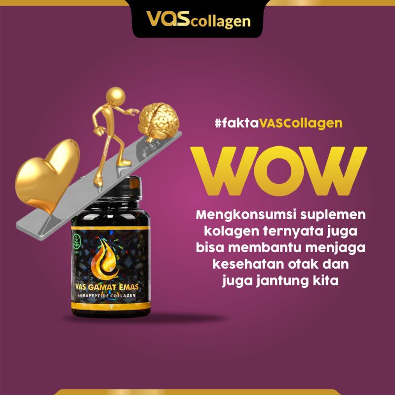 Jual Vas Collagen Gamat Emas (100% ori berhologram) | Shopee Indonesia