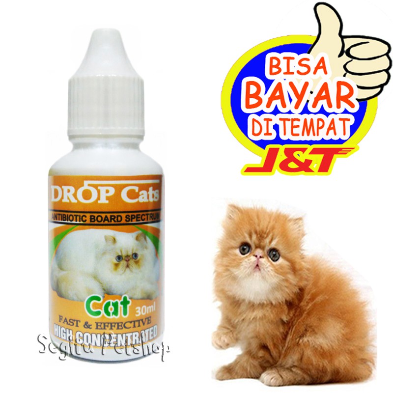 Jual ANTIBIOTIK KUCING OBAT DEMAM FLU PILEK DROP CAT | Shopee Indonesia