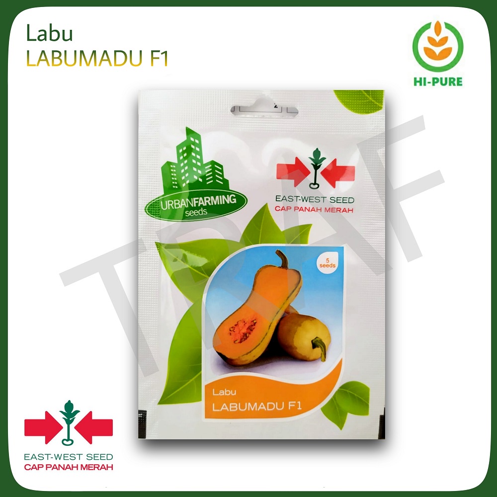Jual Cap Panah Merah Benih Butternut LABU MADU F1 Isi 5 Biji | Shopee ...