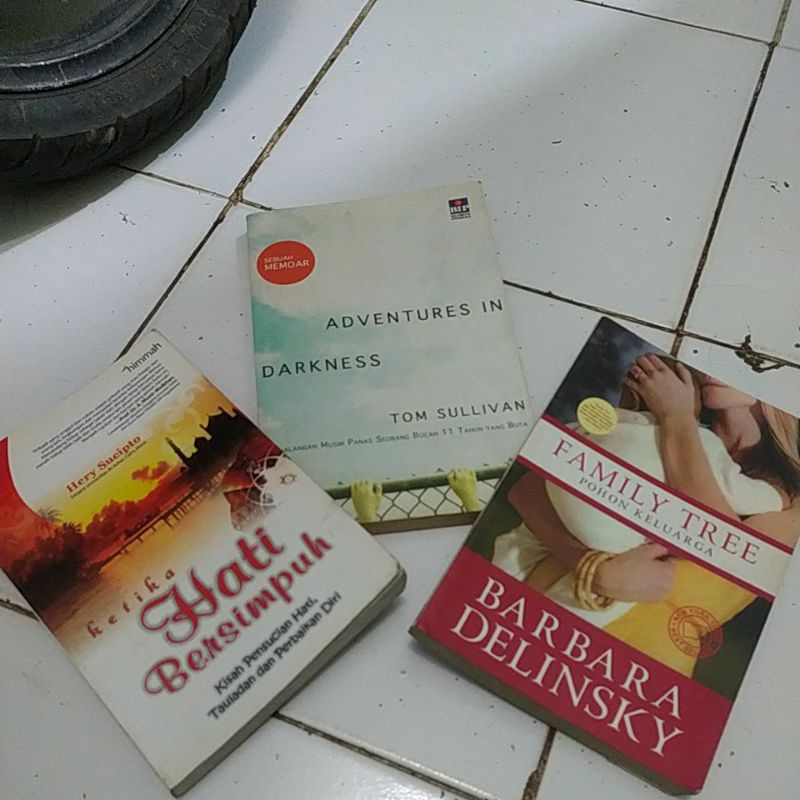 Jual HARGA 1AN ADVENTURES IN DARKNESS petualangan seorang bocah 11 THN ...