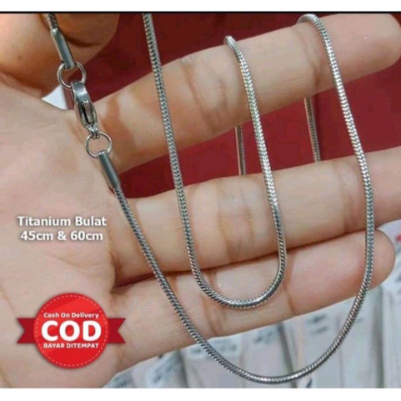 Jual Kalung Titanium Pria dan Wanita Original Model Tulang Belut ...