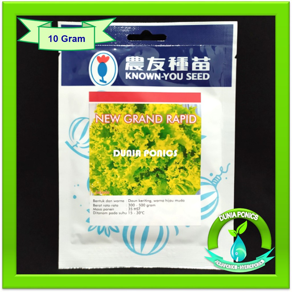 Jual Benih Selada Hijau Green Lettuce NEW GRAND RAPID Known You Seed 10 Gram Original Pack ...