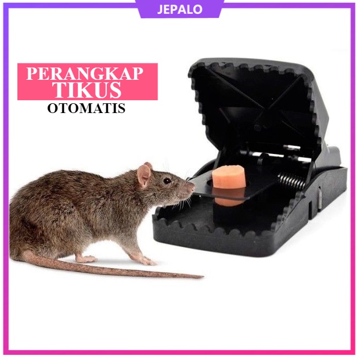 Jual Perangkap Tikus otomatis jebakan tikus jepit mouse trap pest ...