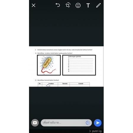 Jual test aja | Shopee Indonesia