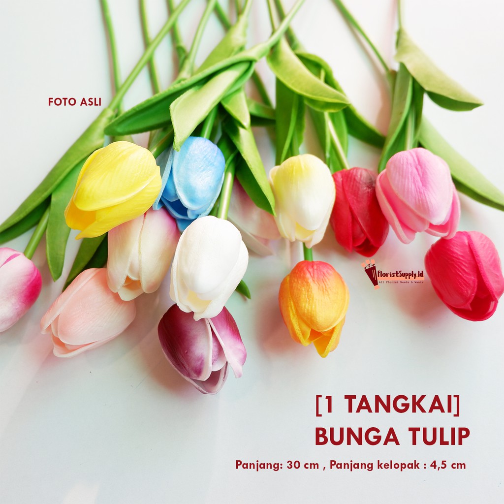 Jual FLOPY [1 Tangkai] Bunga Tulip Latex Import Real Touch by Florist Supply | Shopee Indonesia