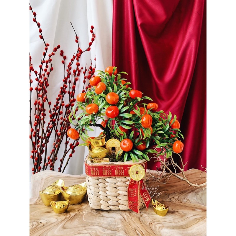 Jual CNY ORANGE TREE - Pohon jeruk imlek | Shopee Indonesia