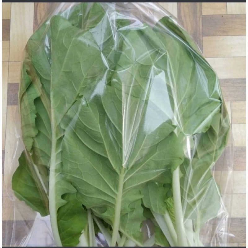 Jual Sayur Sawi Samhong Hidroponik 250-300gr | Shopee Indonesia