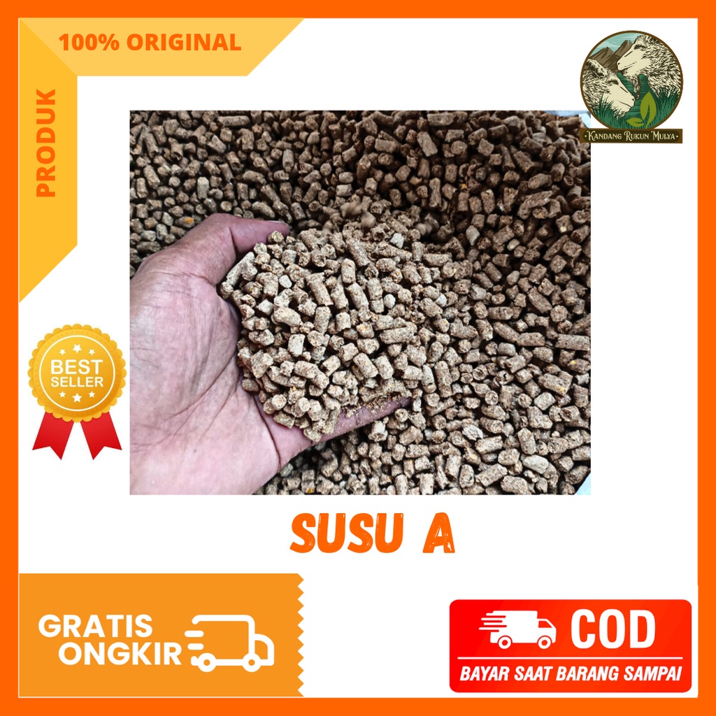 Jual Susu A - Konsentrat Sapi Pelancar Susu Original Pabrik | Shopee ...
