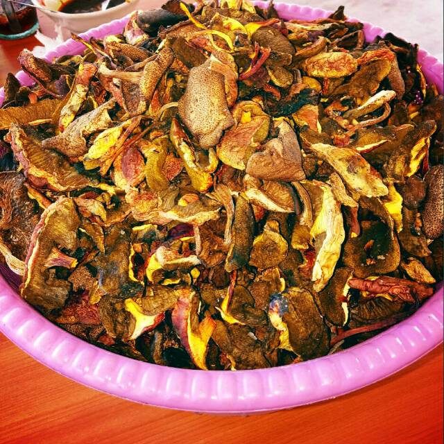 Jual jamur pelawan | Shopee Indonesia