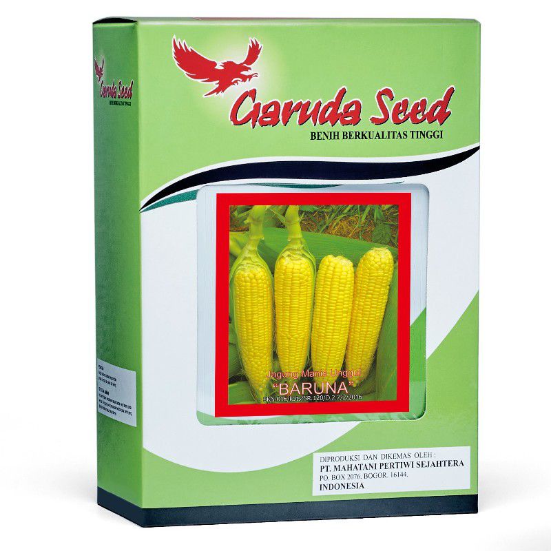 Jual 50 GRAM BENIH JAGUNG MANIS BARUNA GARUDA SEED EXP 2026 | Shopee ...