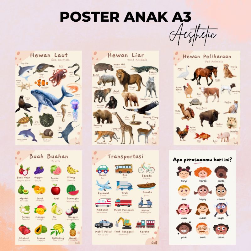 Jual POSTER EDUKASI ANAK A3 ANIMAL FRUIT FACE WILD PET ANIMAL | Shopee ...