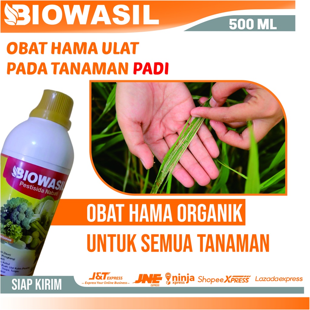 Jual Obat Hama Ulat Pada Tanaman Padi Paling AMpuh - Biowasil 500 ML ...