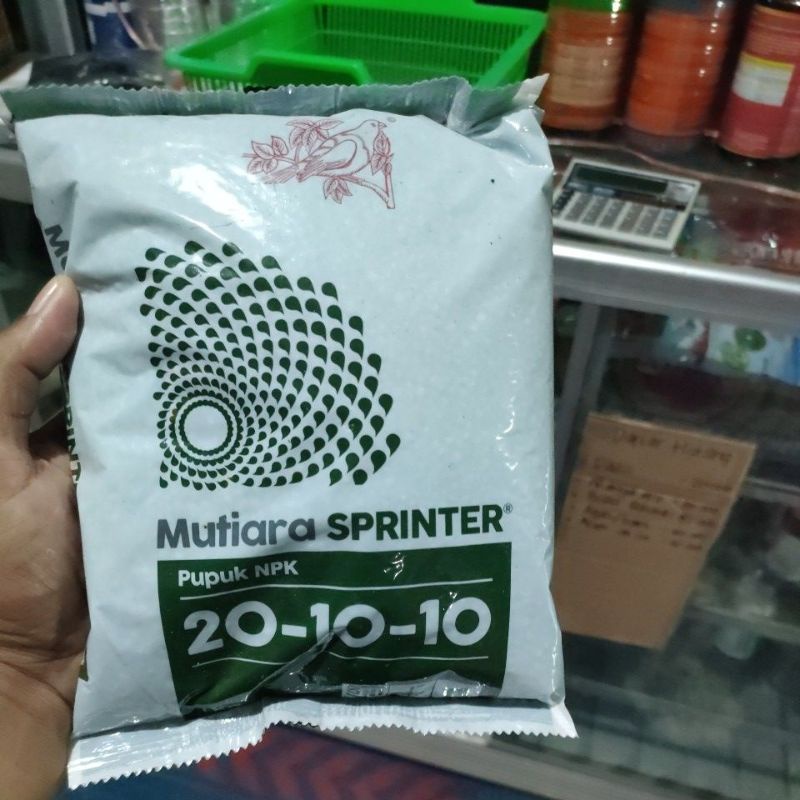 Jual MUTIARA SPRINTER 1KG (ready) | Shopee Indonesia