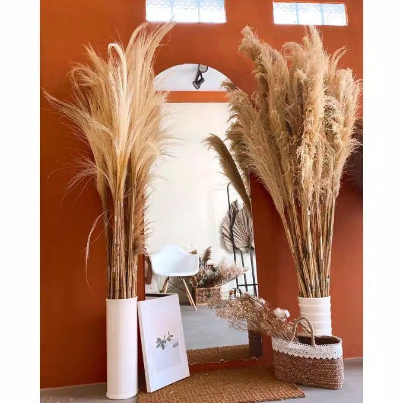 Jual R2 Dekorasi Daun Rustik Kering Palem Sikas Pampas Gandum Wedding ...