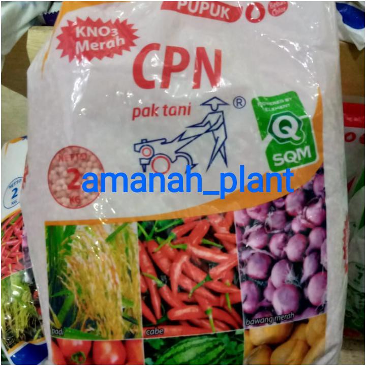 Jual Pupuk CPN KNO3 Merah Cap Pak Tani Repacking 100 gram dijamin original | Shopee Indonesia