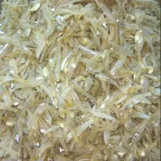 Jual Ikan Gepeng Terlengkap & Harga Terbaru Juni 2024 | Shopee Indonesia