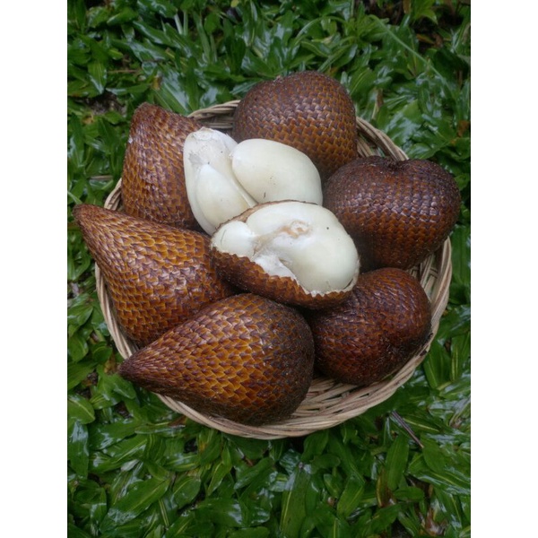 Jual Salak Gula Pasir 1 KG (1000 gr) Asli Bali | Shopee Indonesia